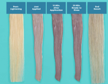 Matrix Launches Tonal Control Pre-Bonded | Beauty Launchpad